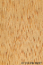 Ilomba (Pycnanthus angolensis) | ITTO
